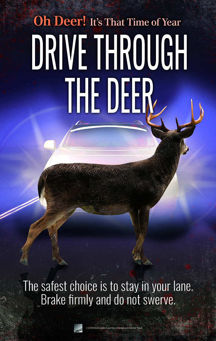 Drive Through the Deer (General Audience) - Minnesota Counties ...